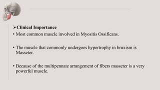 Muscles of mastication | PPTX