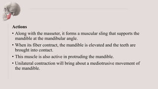 Muscles of mastication | PPT