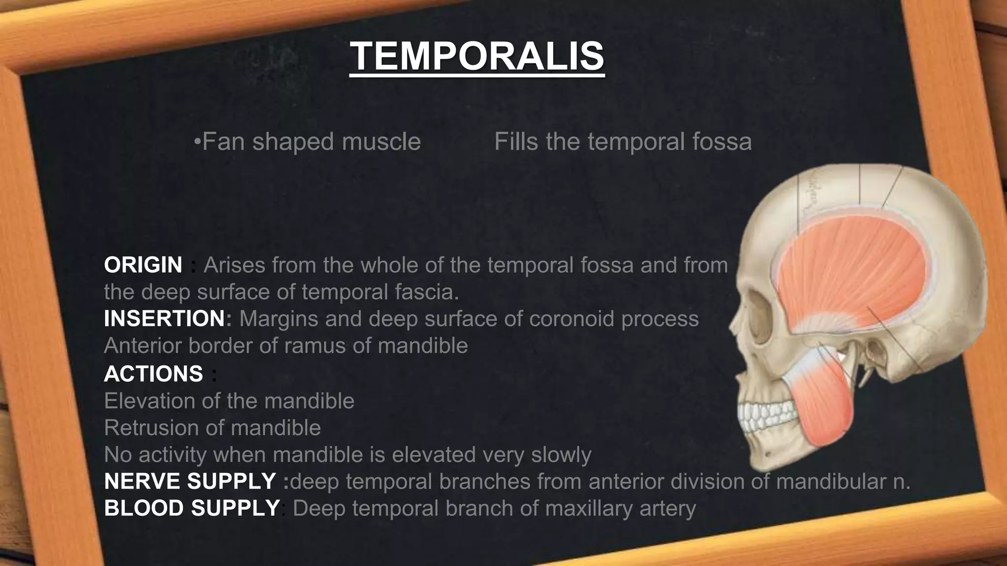 Muscles of mastication | PPTX