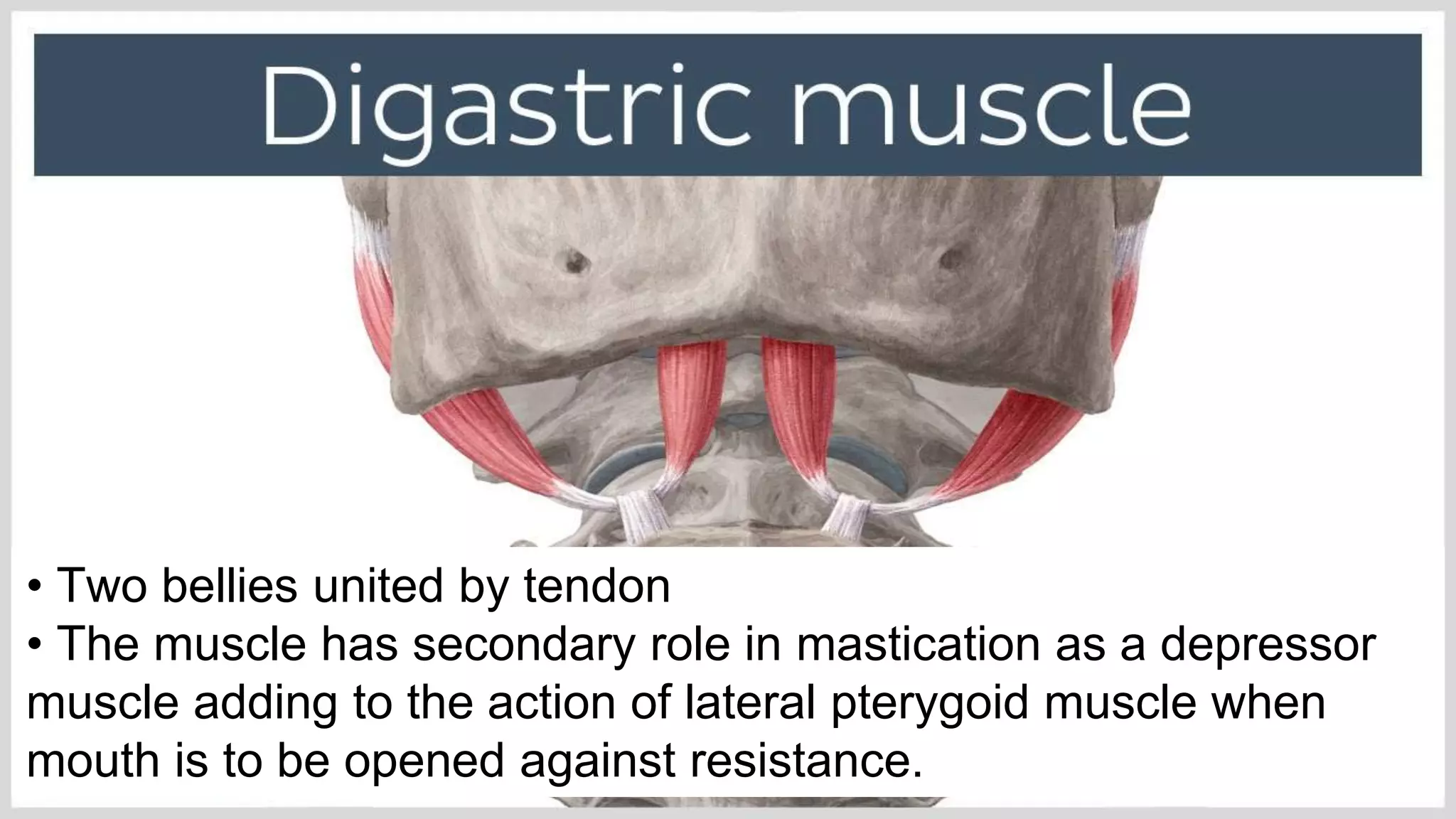 Muscles of mastication | PPTX