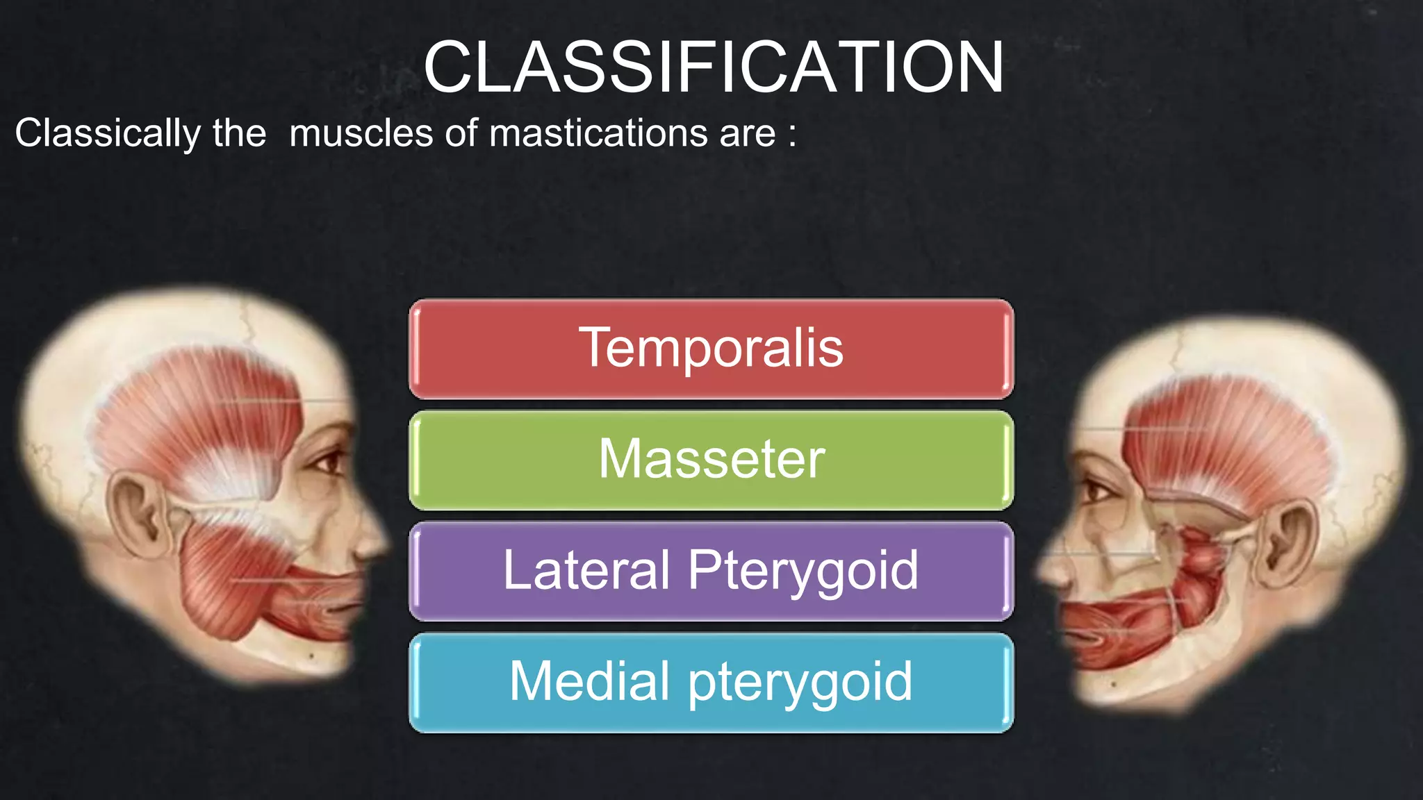 Muscles of mastication | PPTX