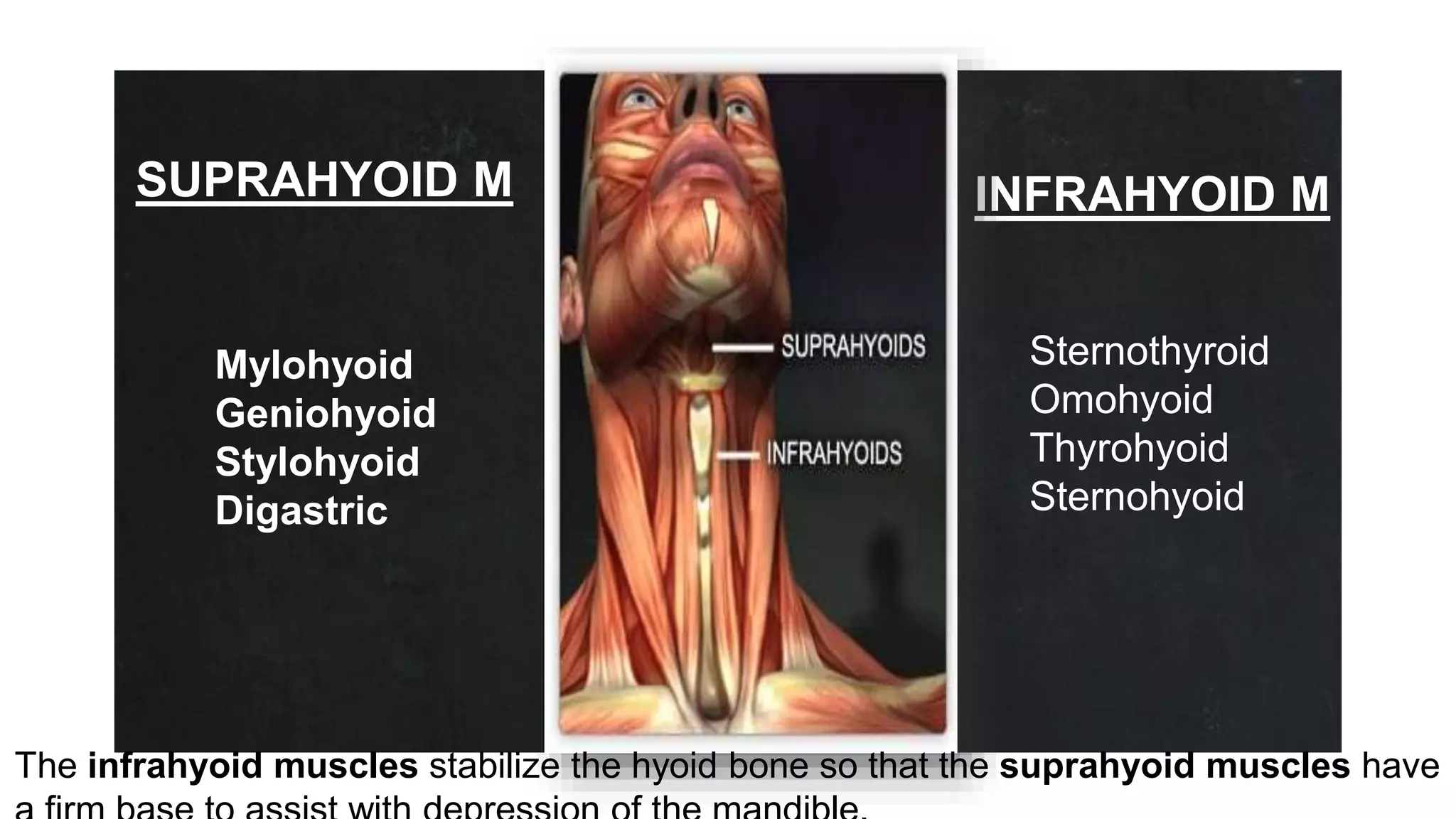 Muscles of mastication | PPTX