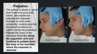 Muscles of mastication | PPTX