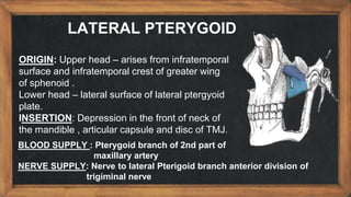 Muscles of mastication | PPTX