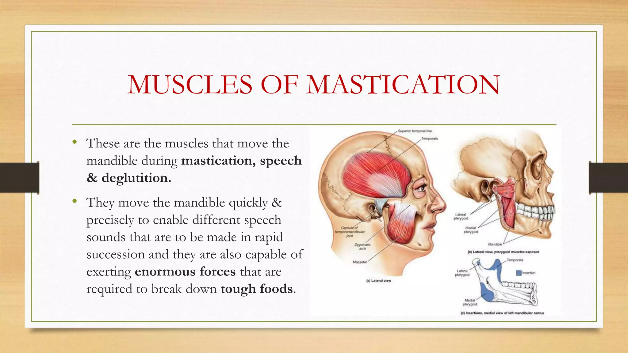 Muscles of mastication | PPTX