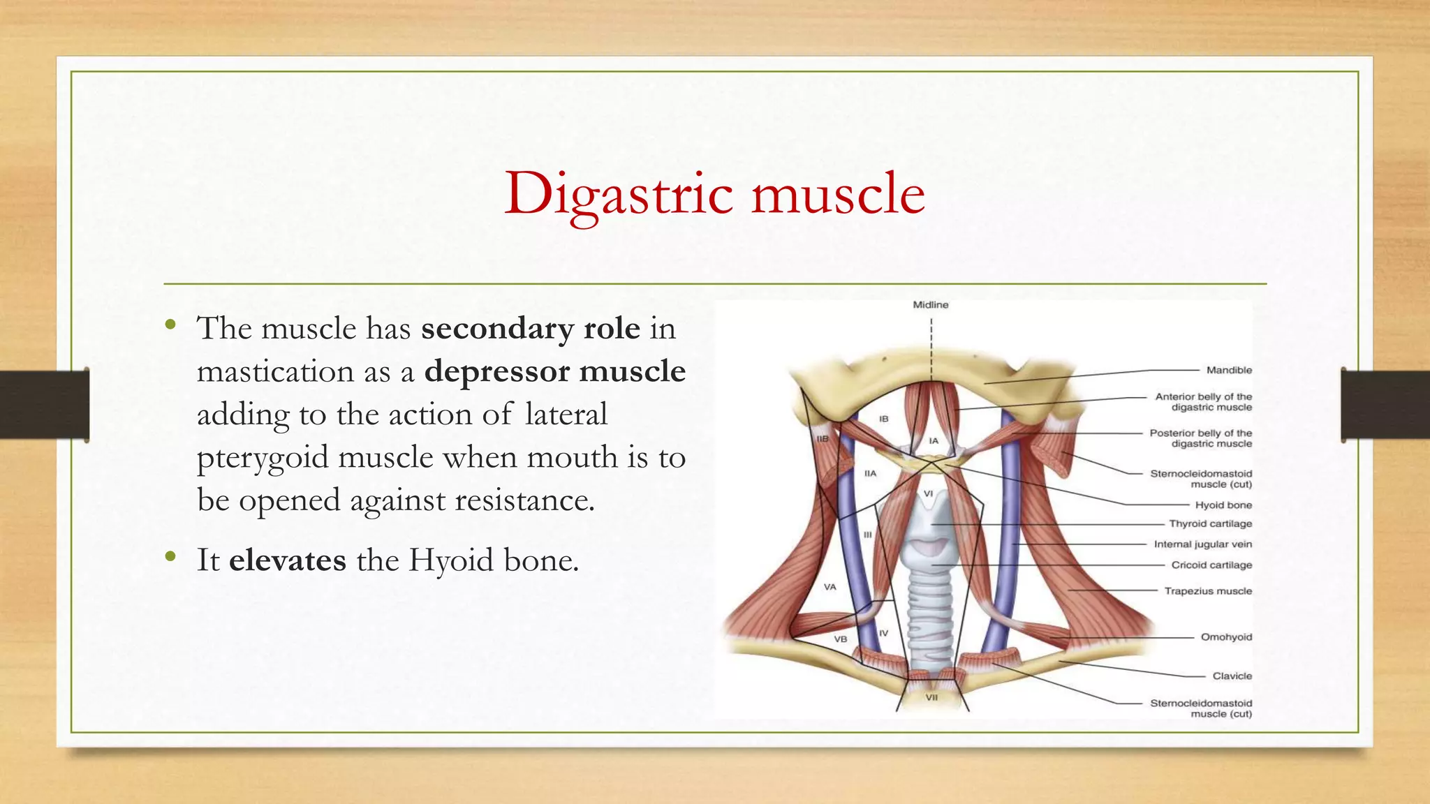 Muscles of mastication | PPTX