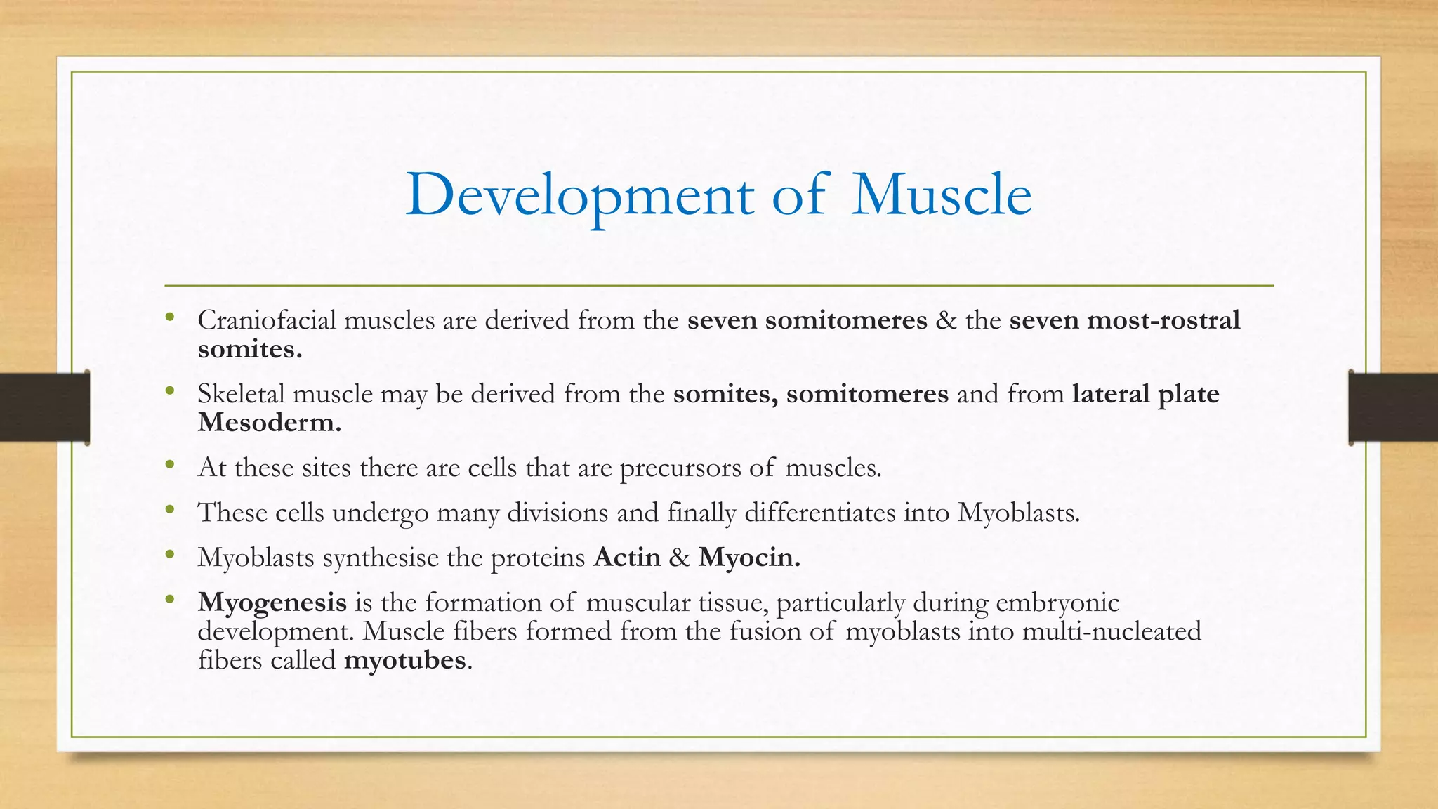 Muscles of mastication | PPTX