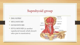 Muscles of mastication | PPTX