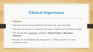 Muscles of mastication | PPTX