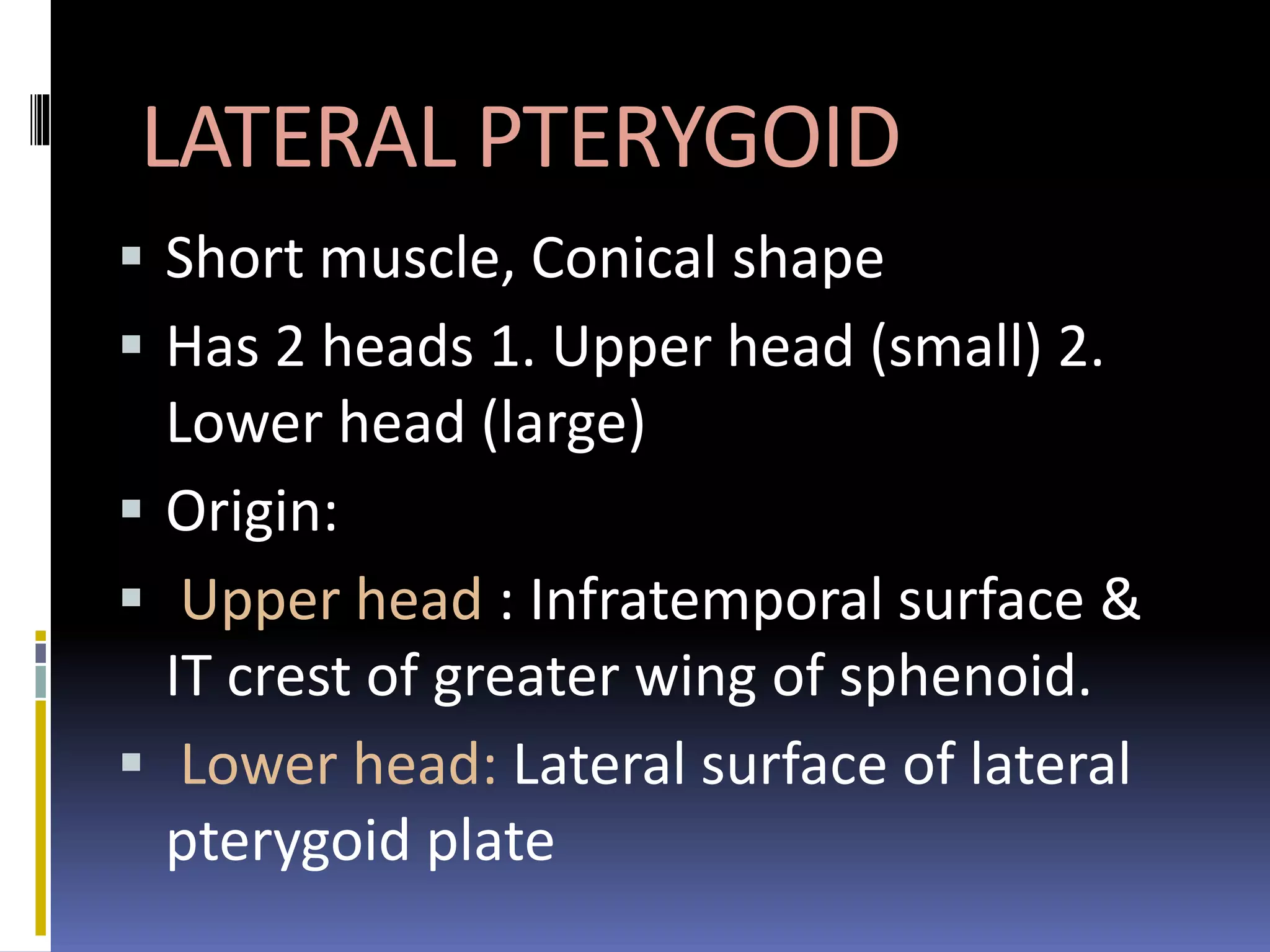 Muscles of mastication | PPTX