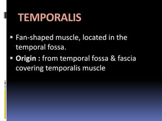 Muscles of mastication | PPTX