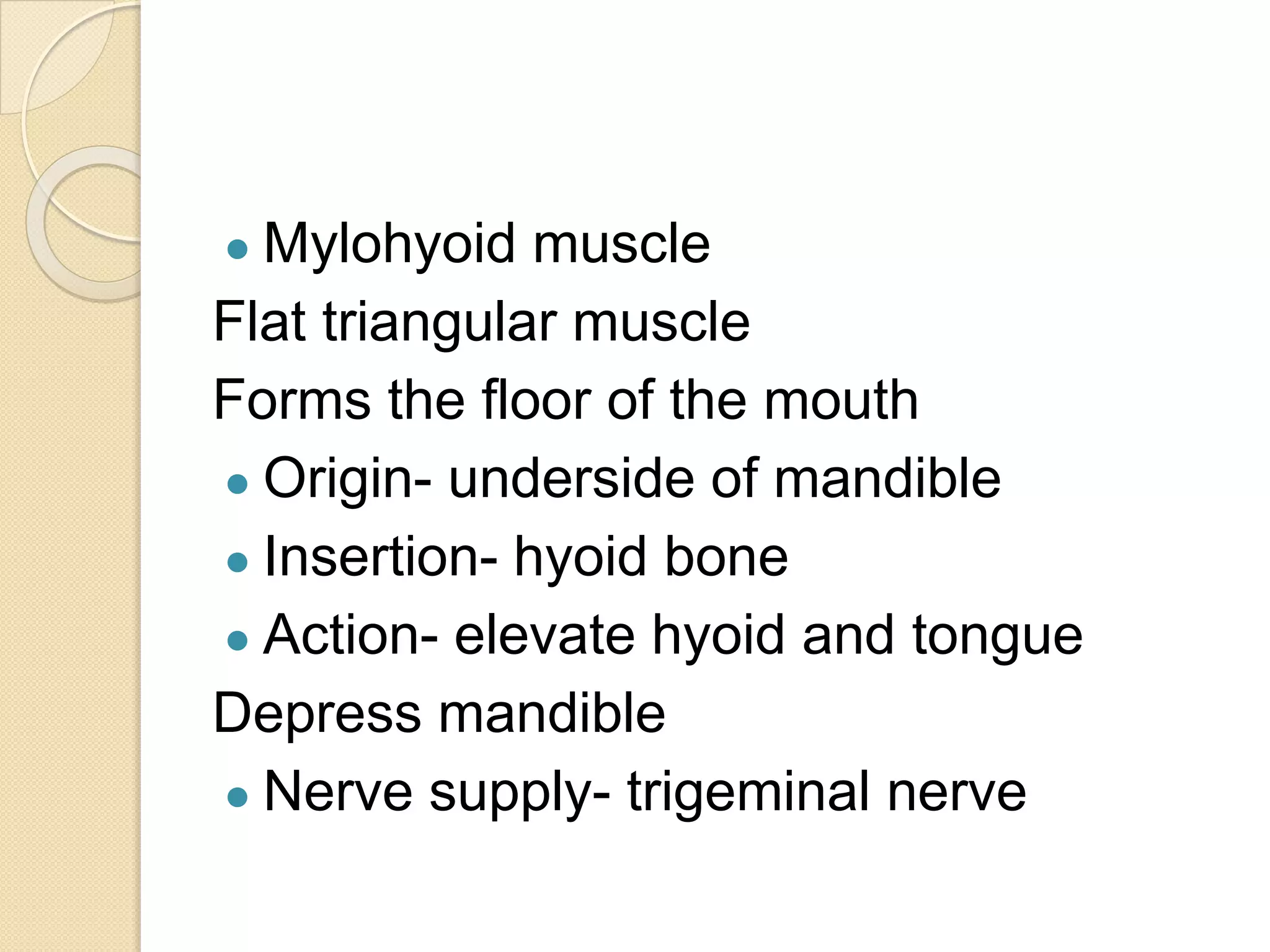 Muscles of mastication | PPTX