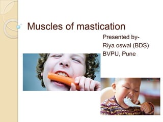 Muscles of mastication | PPTX