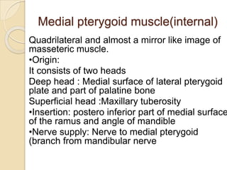 Muscles of mastication | PPTX