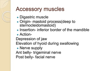 Muscles of mastication | PPTX