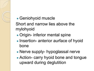 Muscles of mastication | PPTX