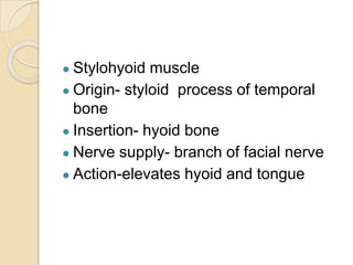 Muscles of mastication | PPTX