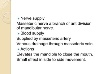 Muscles of mastication | PPTX