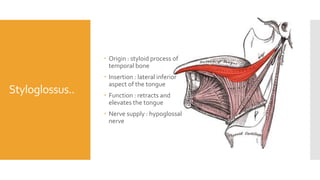 Muscles of mastication | PPT