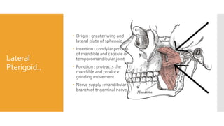 Muscles of mastication | PPTX