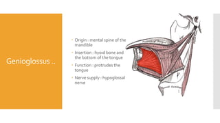 Muscles of mastication | PPT