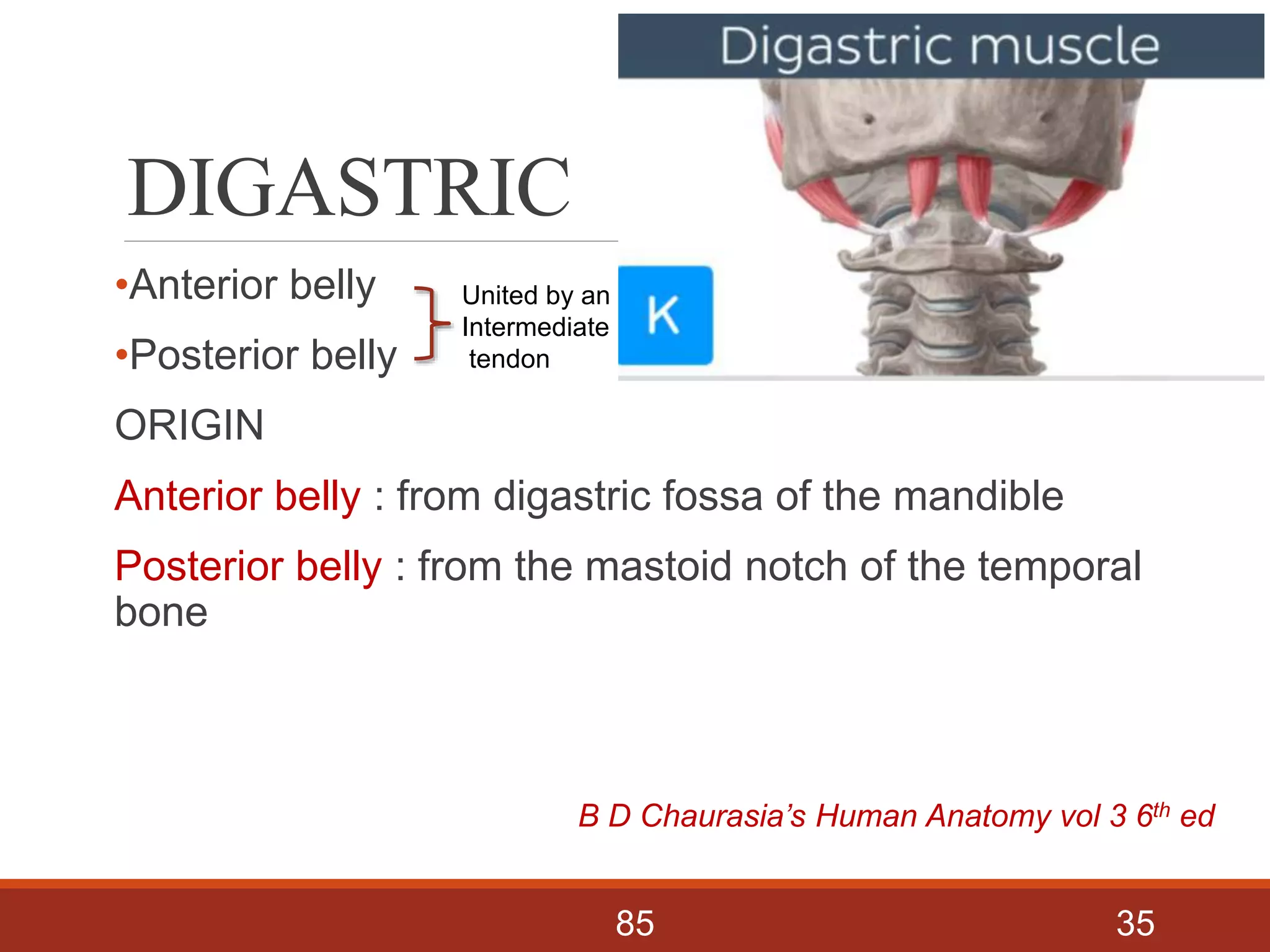 Muscles of mastication | PPTX