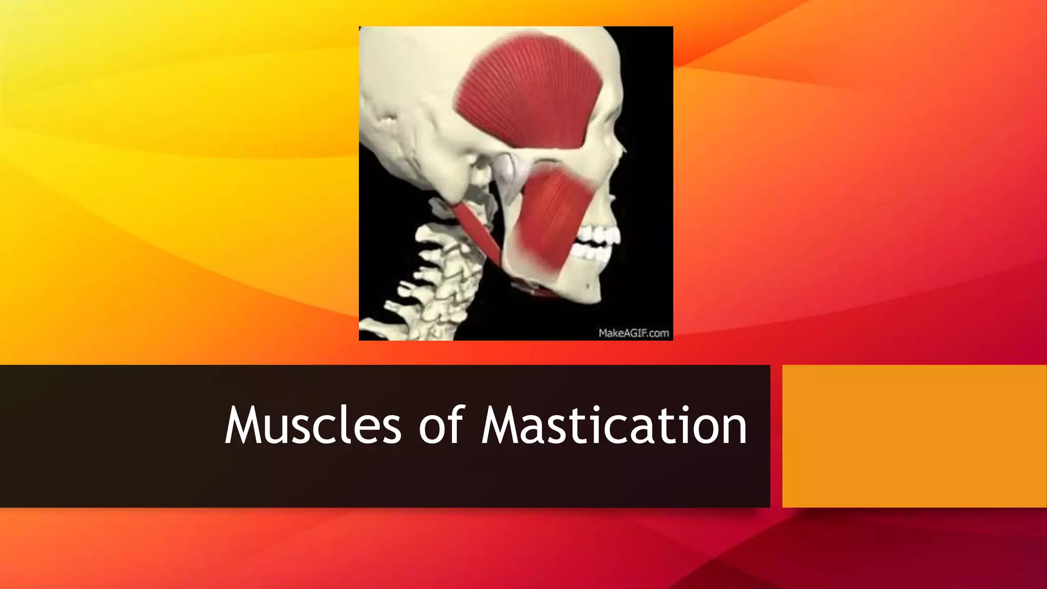Muscles of mastication | PPTX