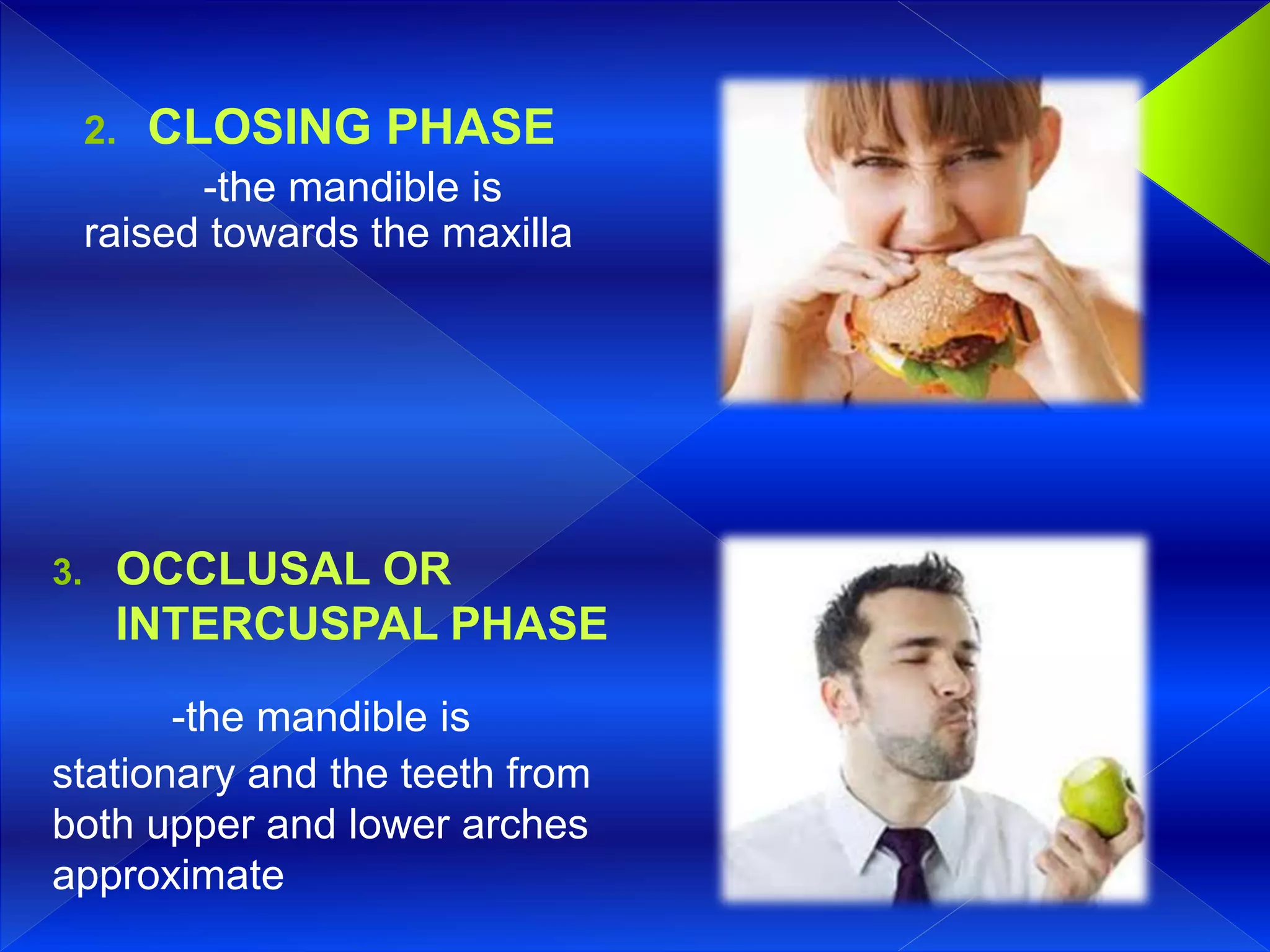 Muscles of mastication | PPTX