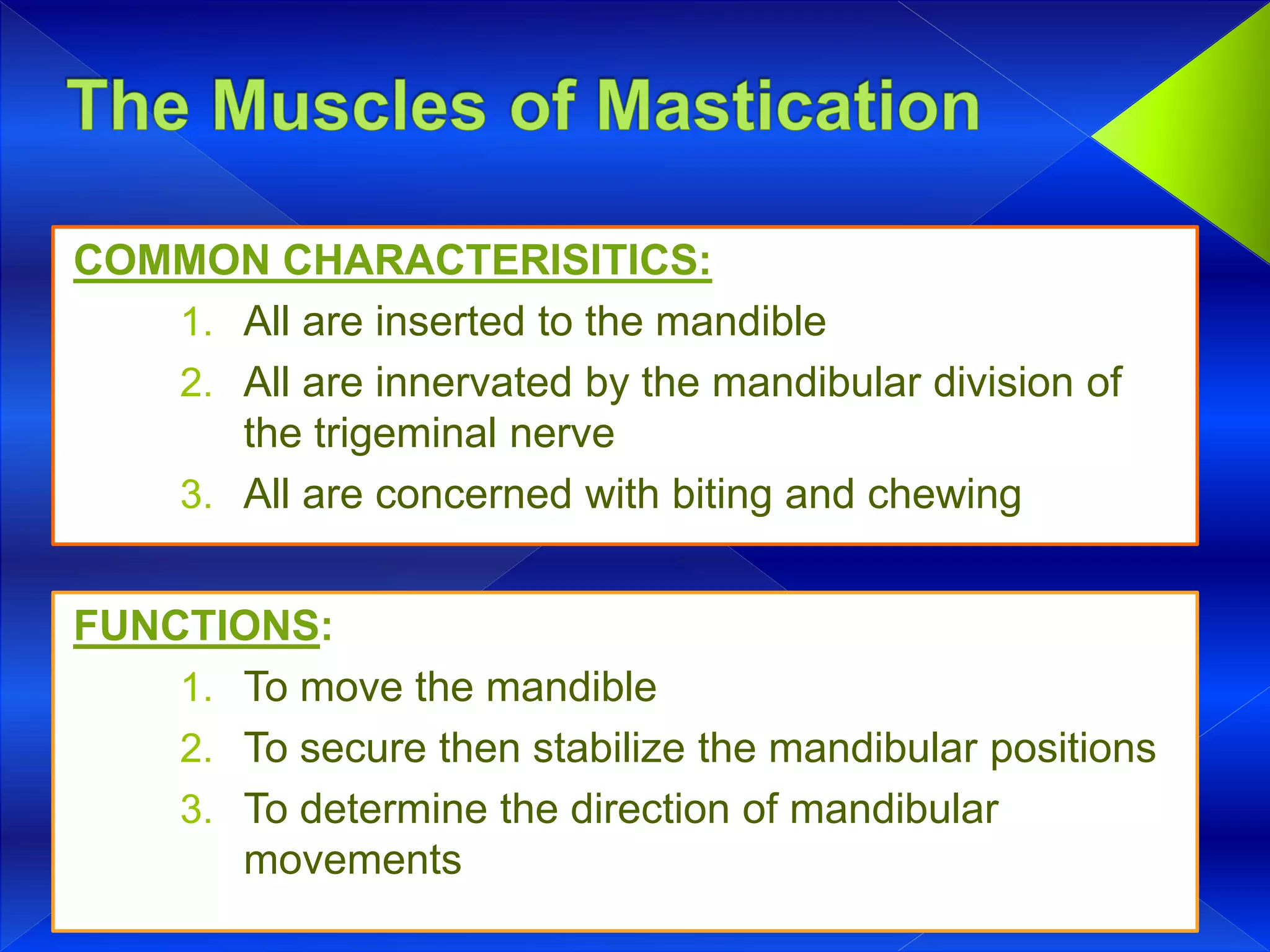 Muscles of mastication | PPTX