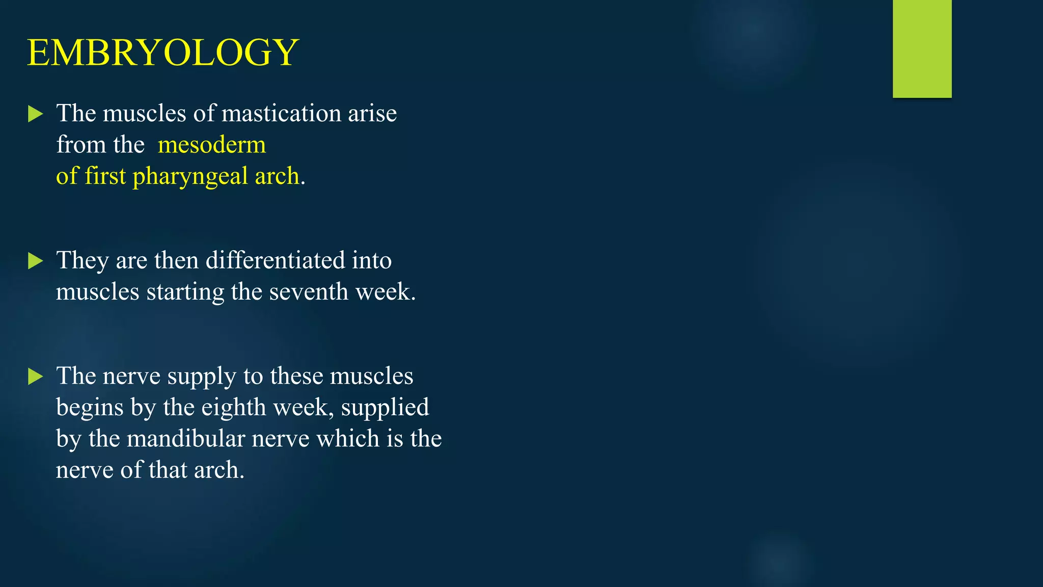 Muscles of Mastication.pptx