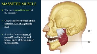 Muscles of Mastication.pptx