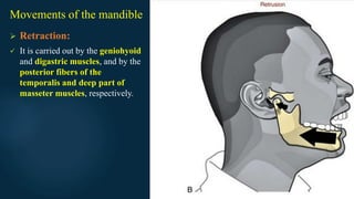 Muscles of Mastication.pptx