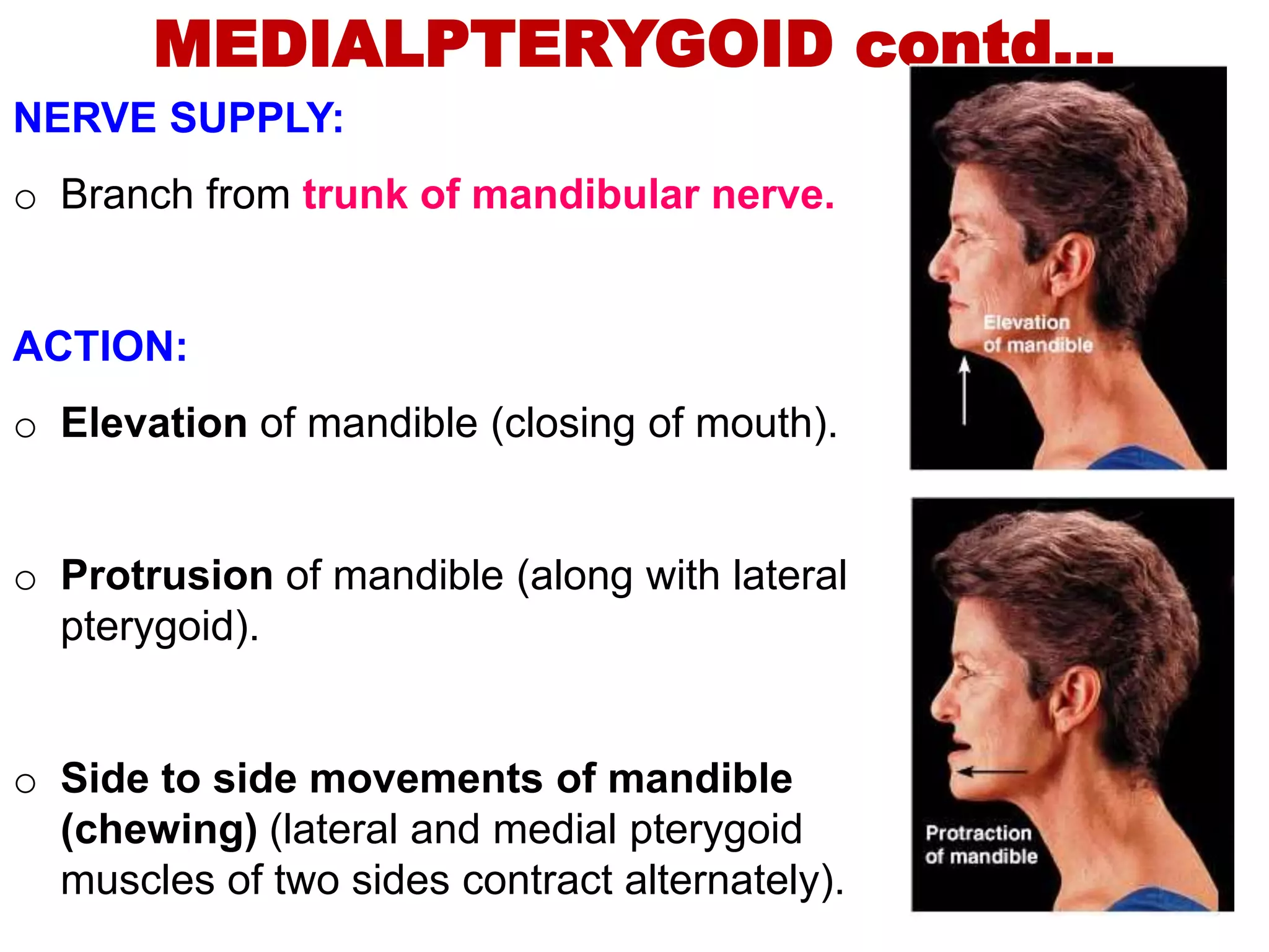 muscles_of_mastication.pptx