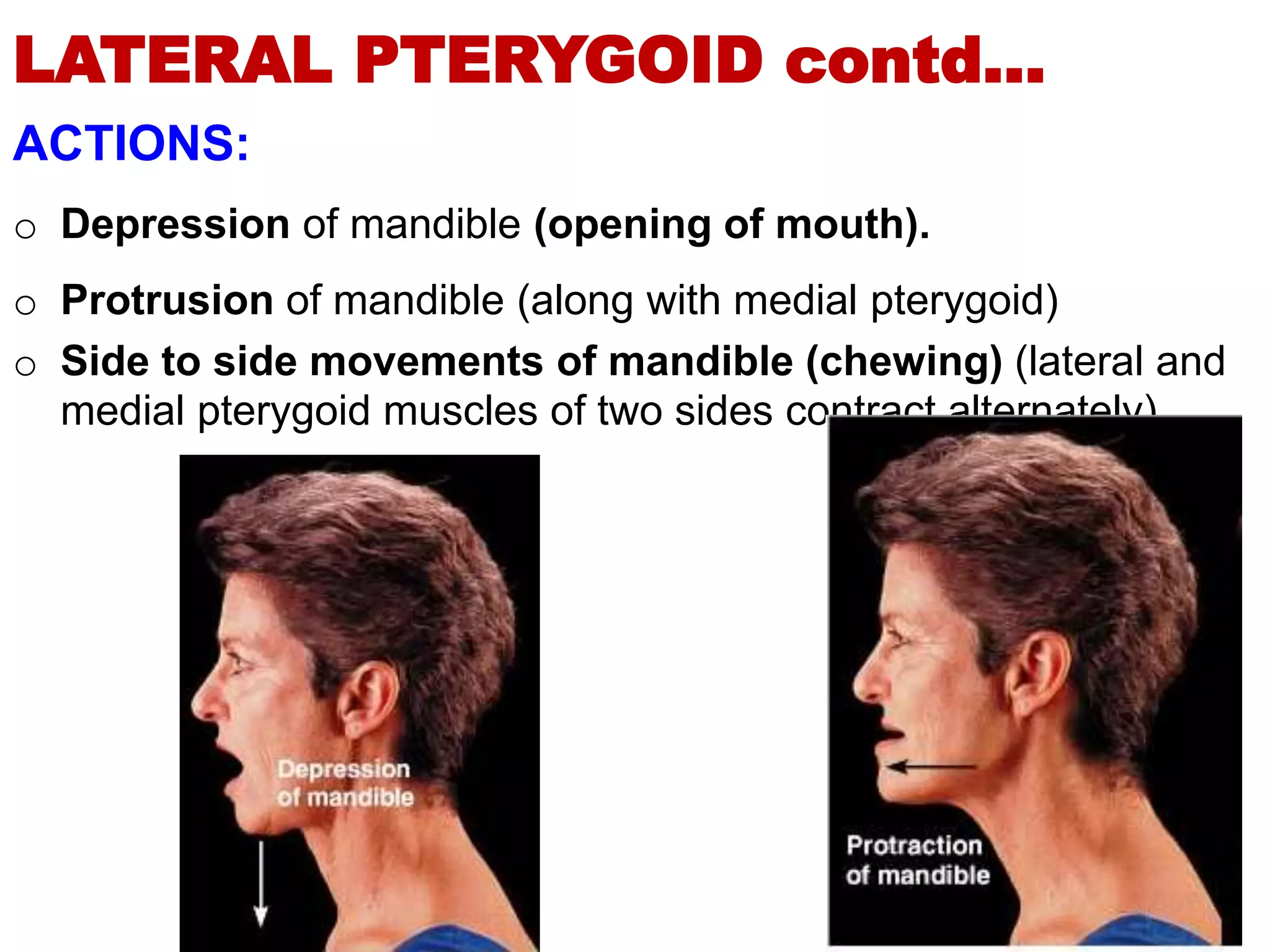muscles_of_mastication.pptx