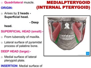 muscles_of_mastication.pptx