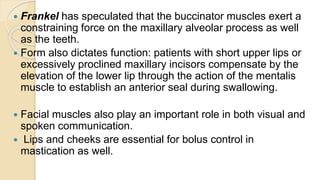 MUSCLES OF MASTICATION.pptx