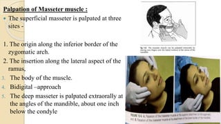 MUSCLES OF MASTICATION.pptx