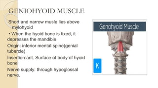 MUSCLES OF MASTICATION.pptx