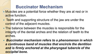 MUSCLES OF MASTICATION.pptx