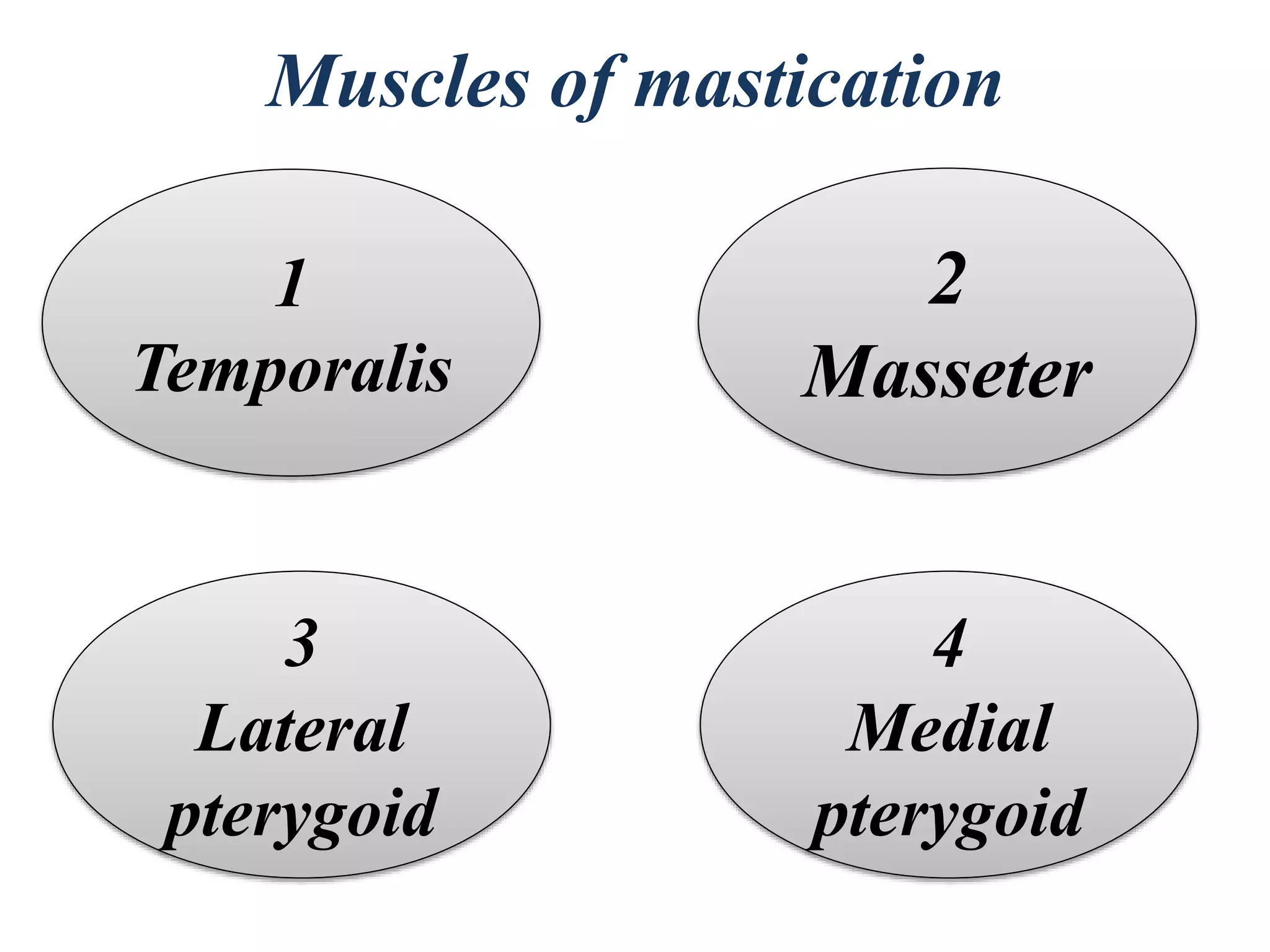 Muscles of mastication.pptx