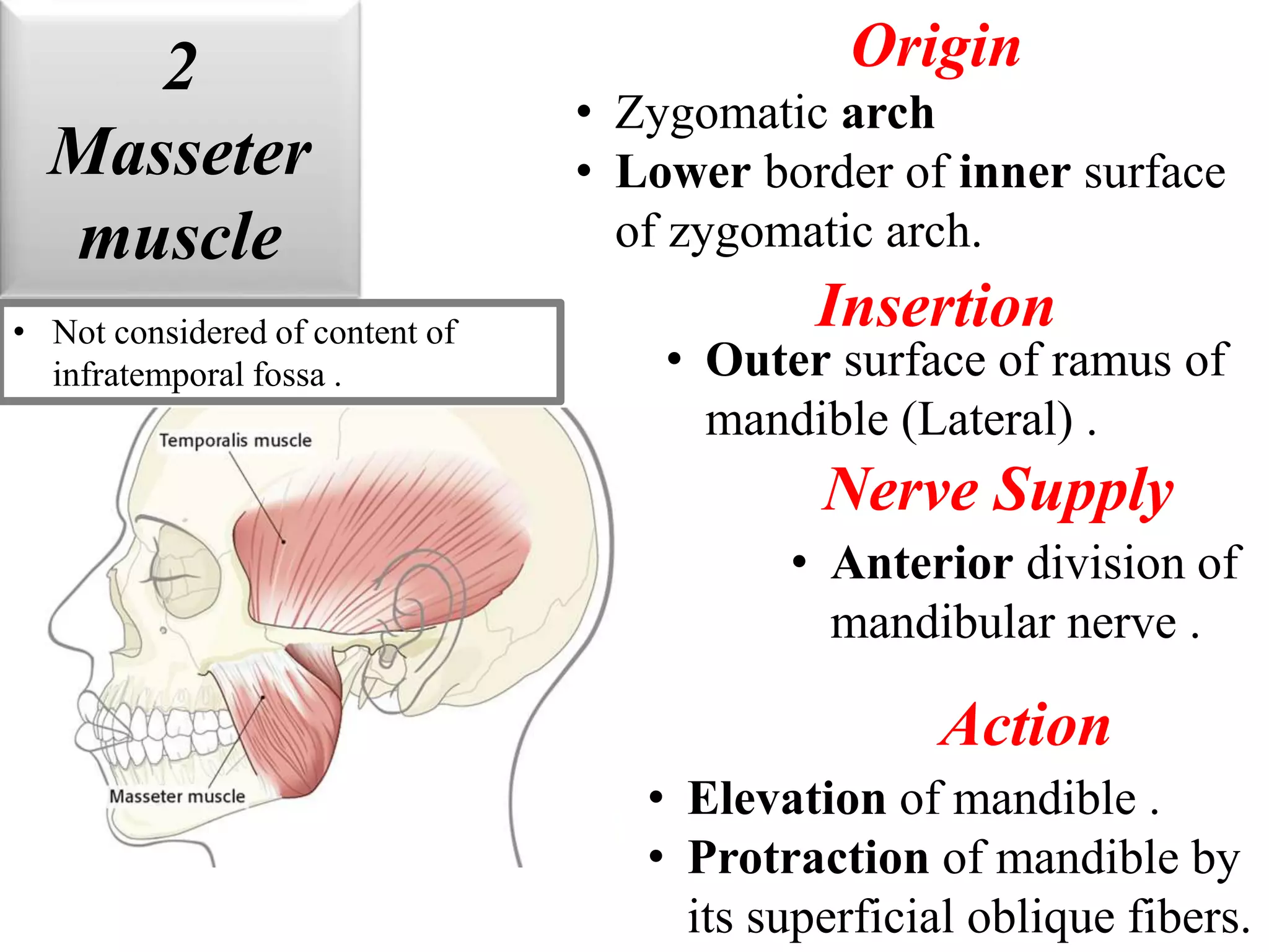 Muscles of mastication.pptx