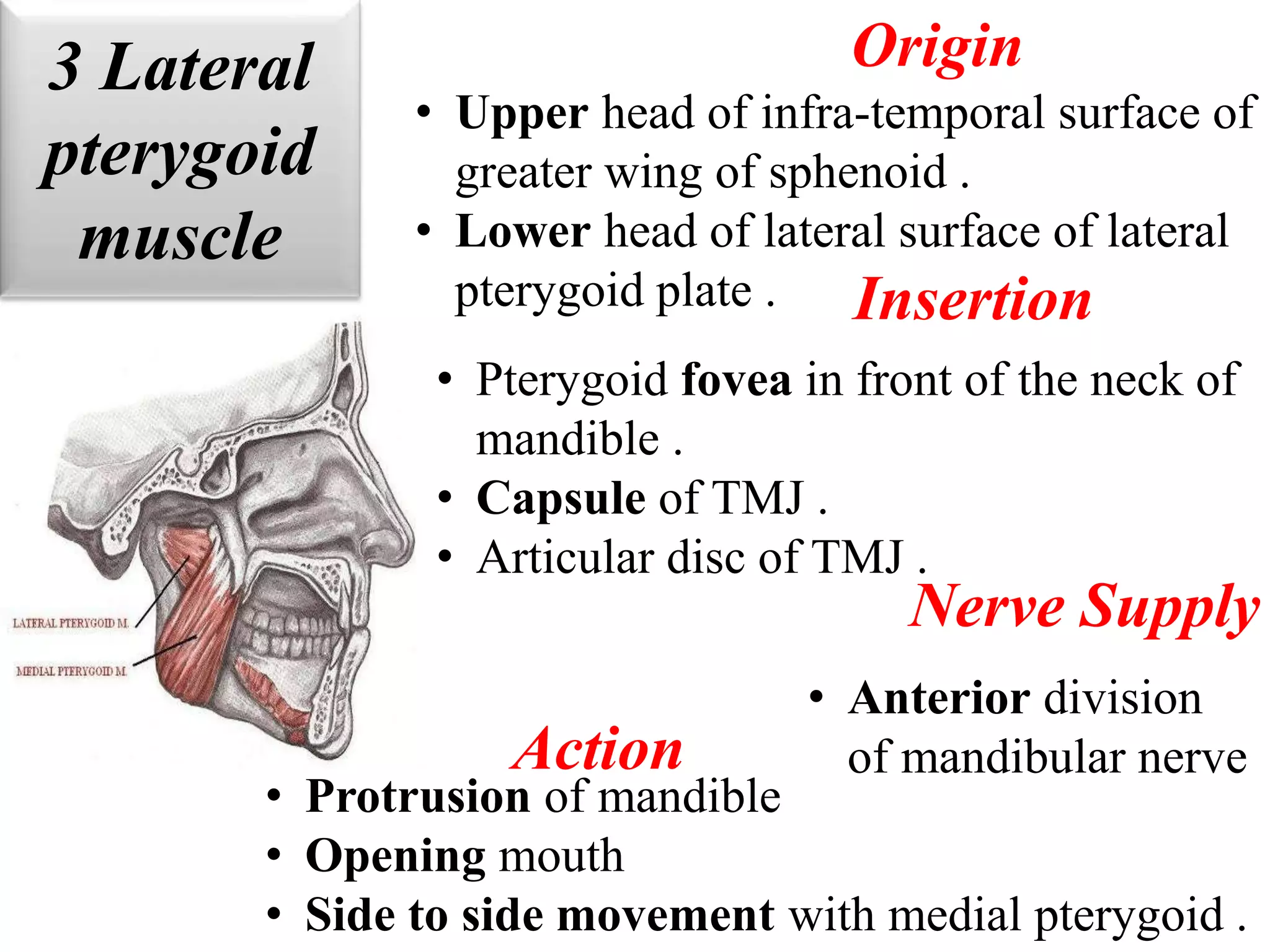 Muscles of mastication.pptx