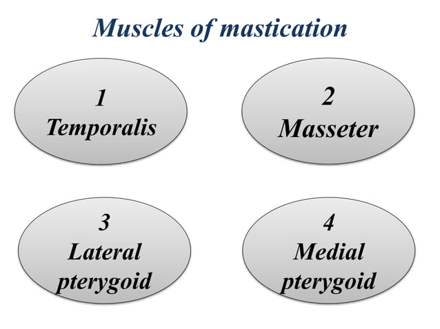 Muscles of mastication.pptx