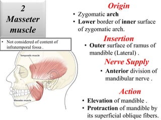 Muscles of mastication.pptx