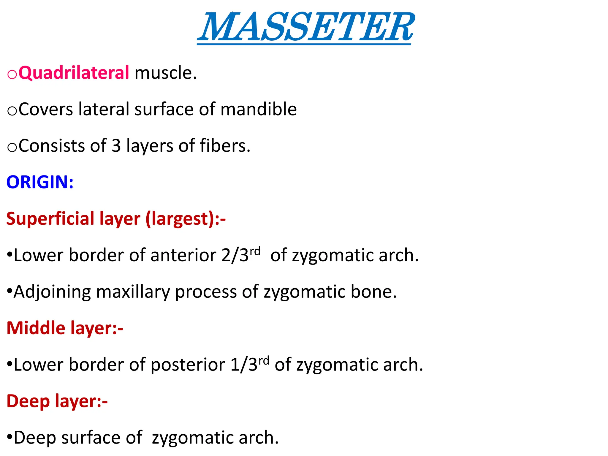 Muscles_of_mastication.pptx