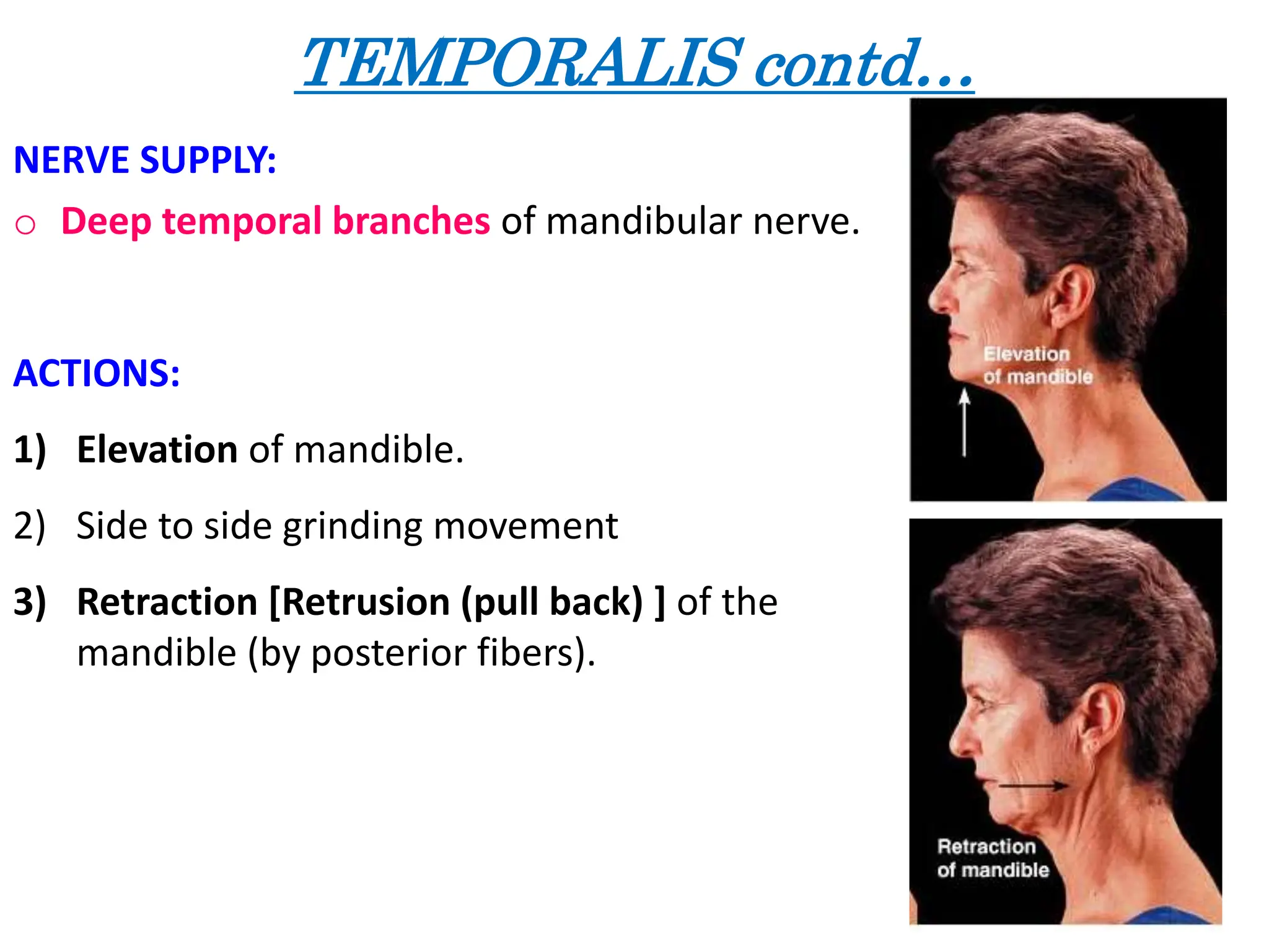 Muscles_of_mastication.pptx