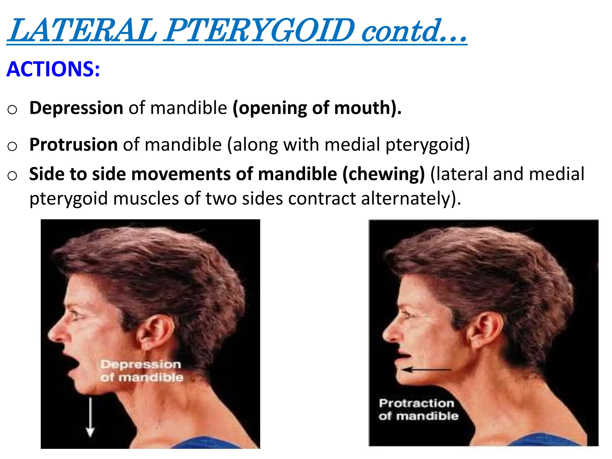 Muscles_of_mastication.pptx