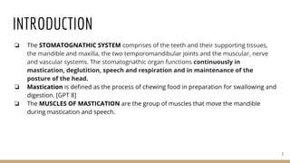 Primary and Accessory Muscles of Mastication | PDF