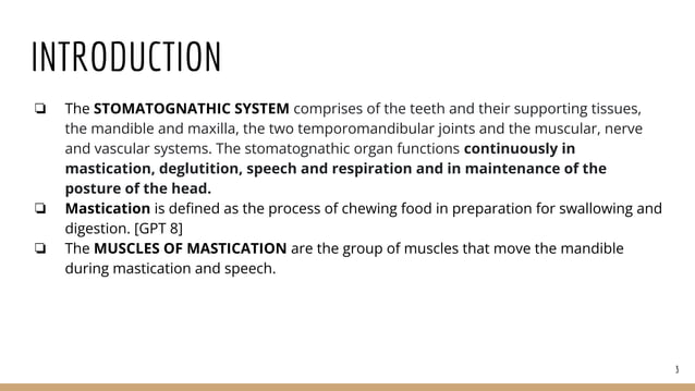 Primary and Accessory Muscles of Mastication | PDF