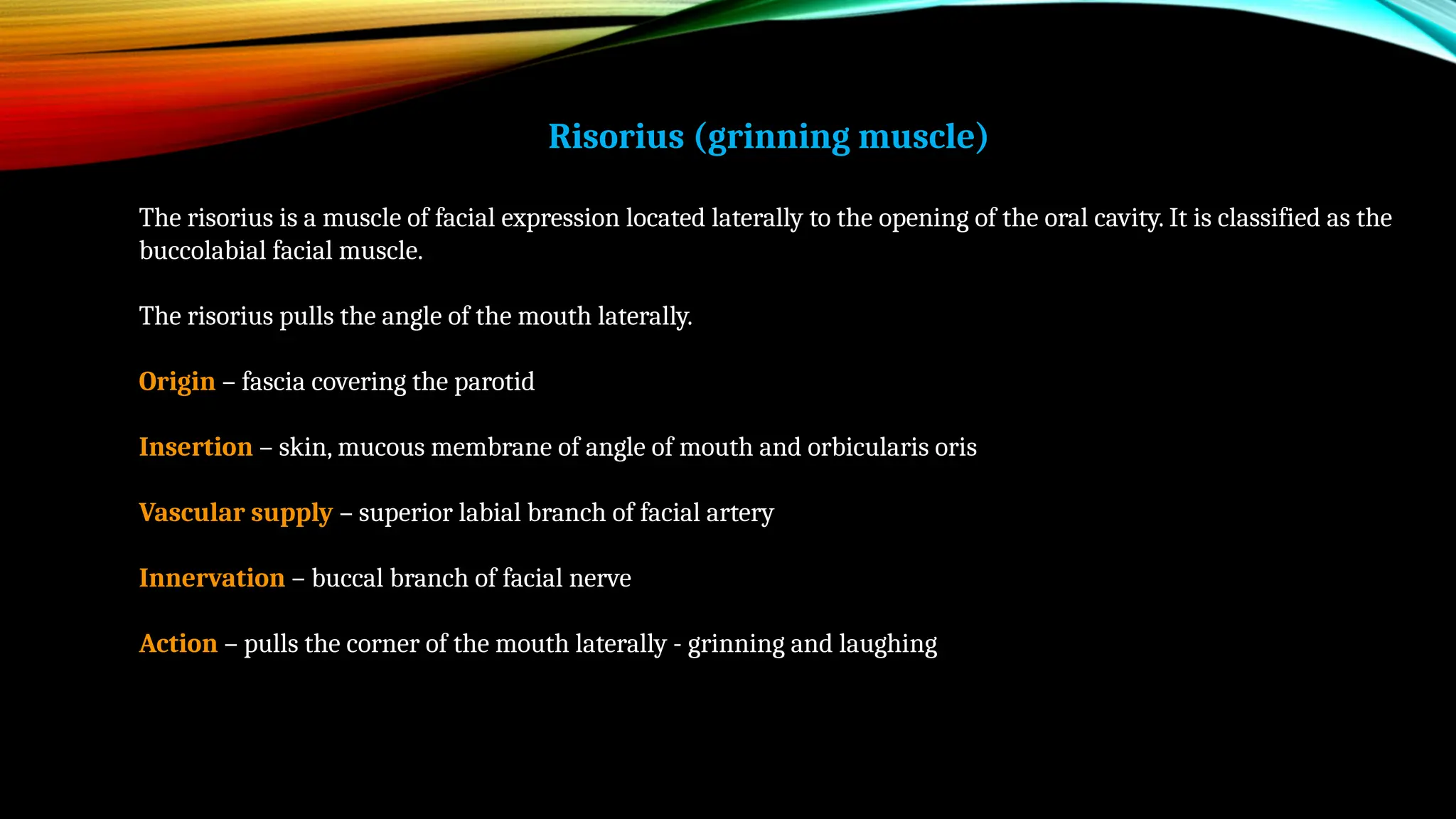 Muscle of facial expression, Muscle of mastication & TMJ | PPTX